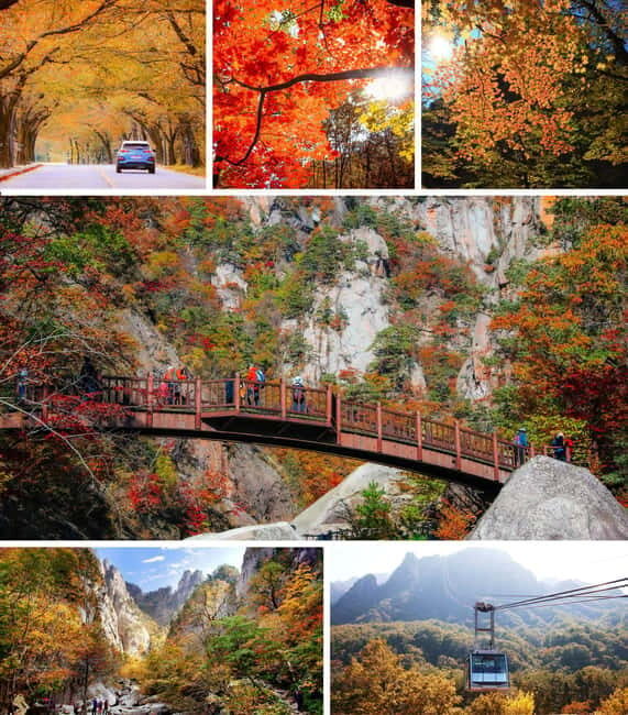 From Seoul: Seoraksan National Park and Nami Island Day Trip - Key Points
