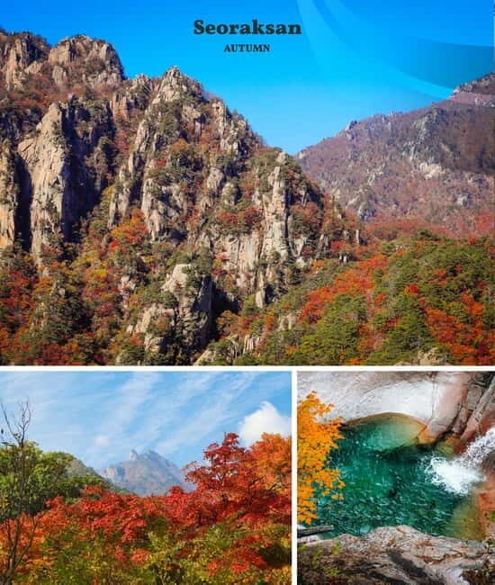 From Seoul: Seoraksan National Park and Nami Island Day Trip - What You Can Expect on This Tour