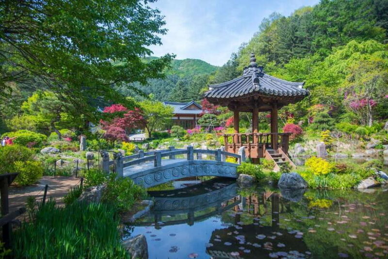 From Seoul: Seoraksan National Park and Nami Island Day Trip - Final Thoughts