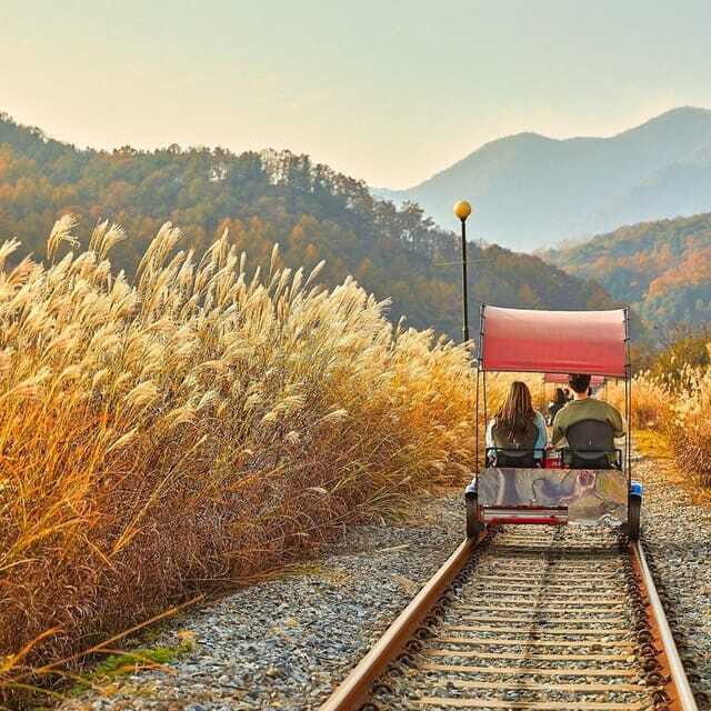 From Seoul: Seoraksan National Park and Nami Island Day Trip - FAQ