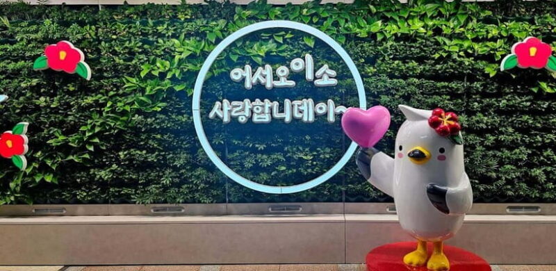 From Seoul: Tongyeong Anchovy 2 day Tour - Who Would Love This Tour?