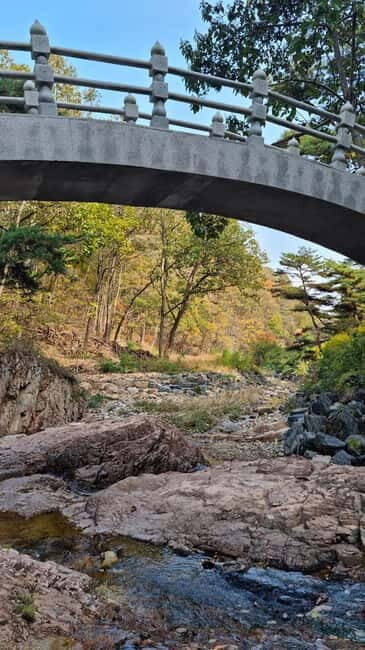 From Seoul: Yeongdong Day Trip with Wine Tasting and Janggu - The Sum Up