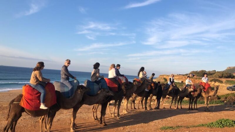 From Sevilla: Private Tangier Tour - Final Thoughts