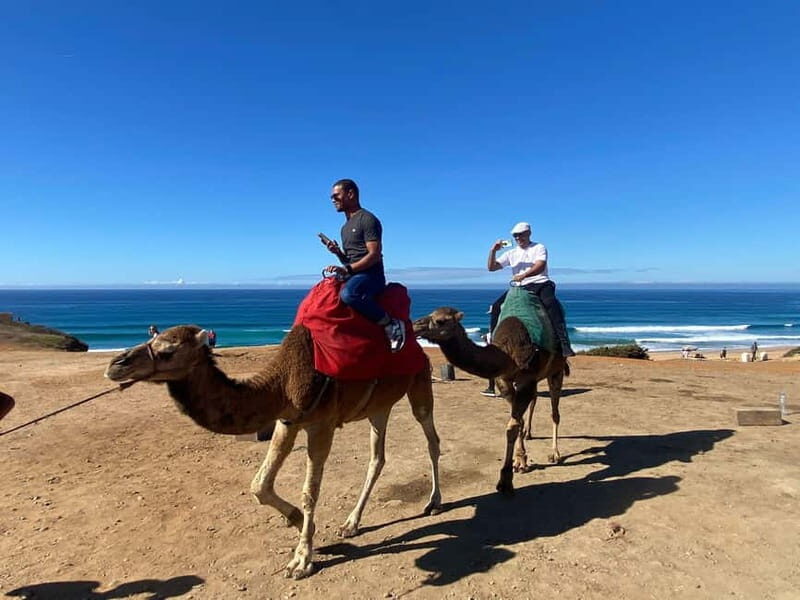 From Seville: 2, 3, or 4-Day Morocco Trip with Ferry & Guide - Real Reviews & Insights