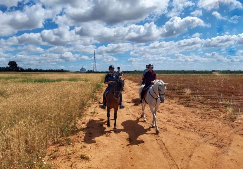From Seville: Andalusian Horseback Ride - An In-Depth Look at the Andalusian Horseback Ride