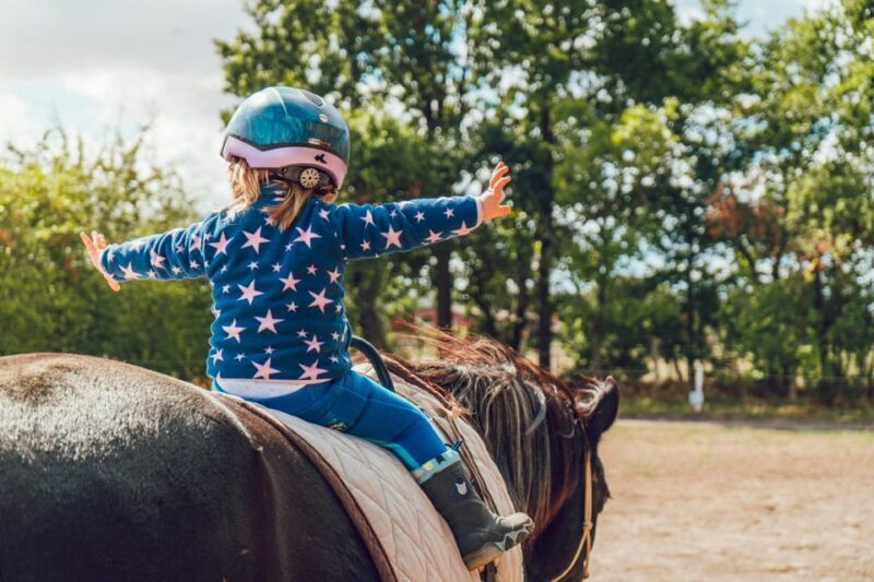 From Seville: Andalusian Horseback Ride - The Sum Up