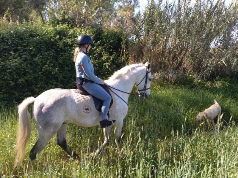 From Seville: Andalusian Horseback Ride - FAQs