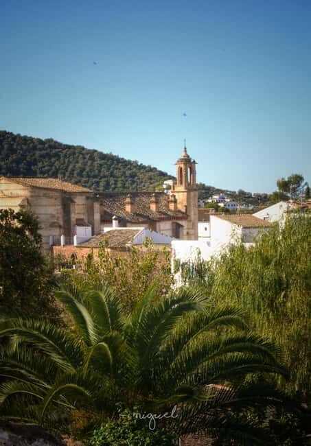 From Seville: Cerro del Hierro Private Hike with Picnic - Practical Details and Value