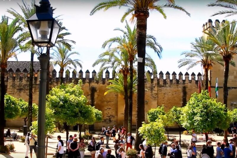 From Seville: Cordoba Full-Day Private Tour - What Could Be Improved?