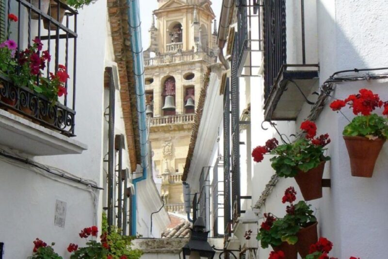 From Seville: Cordoba Full-Day Private Tour - FAQs