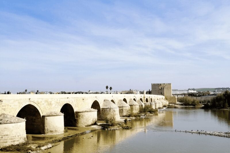 From Seville: Cordoba Private Day Trip - Is It Worth the Price?