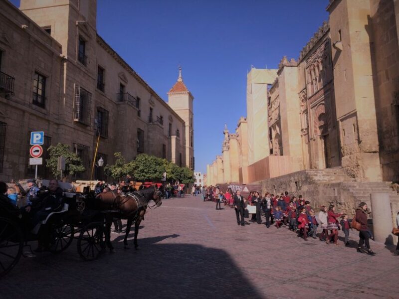 From Seville: Cordoba, the Mosque and Carmona Day Trip - Who Should Consider This Tour?