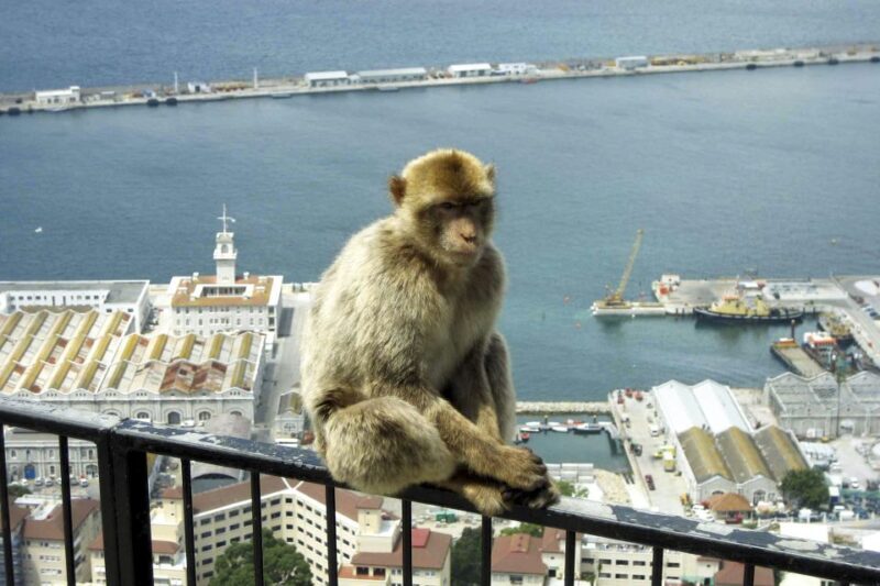 From Seville: Day Trip to Gibraltar - Introduction: Why This Tour Could Be a Great Choice