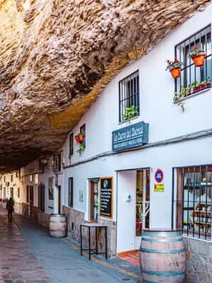 From Seville: Day trip to the White Villages and Ronda - Authentic Experiences and Traveler Feedback