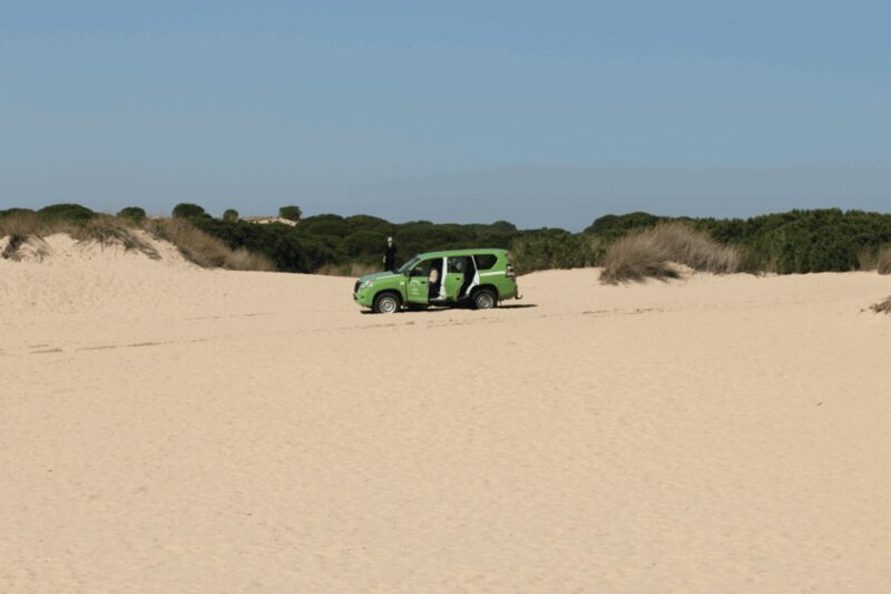 From Seville: Doñana, El Rocio, and Matalascañas Beach Tour - Who Will Appreciate This Tour?
