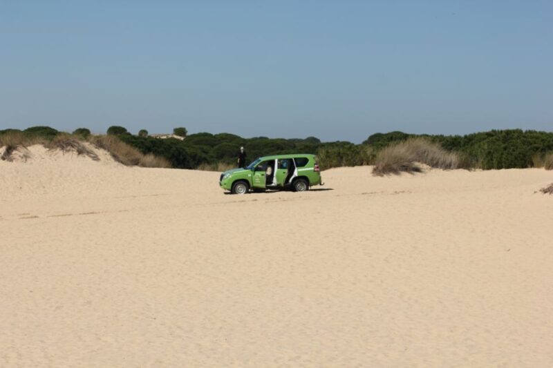 From Seville: Doñana, El Rocio, and Matalascañas Beach Tour - Final Thoughts on the Experience