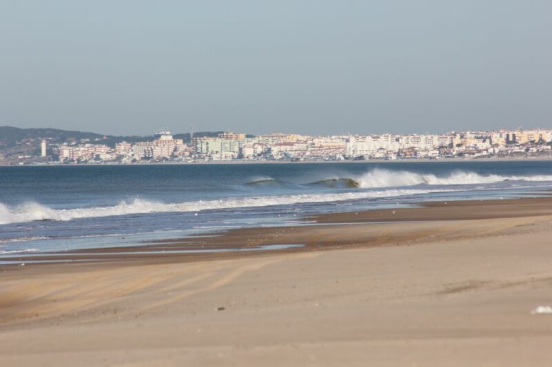 From Seville: Doñana National Park Full-Day Private Tour - Key Points