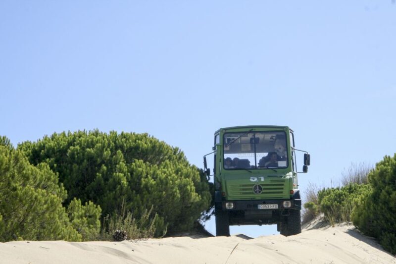 From Seville: Doñana Natural Park, El Rocio and Matalascañas - From Seville: Doñana Natural Park, El Rocío, and Matalascañas — An In-Depth Look