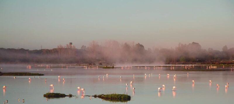 From Seville: Doñana Natural Park, El Rocio and Matalascañas - Who Is This Tour Best Suited For?