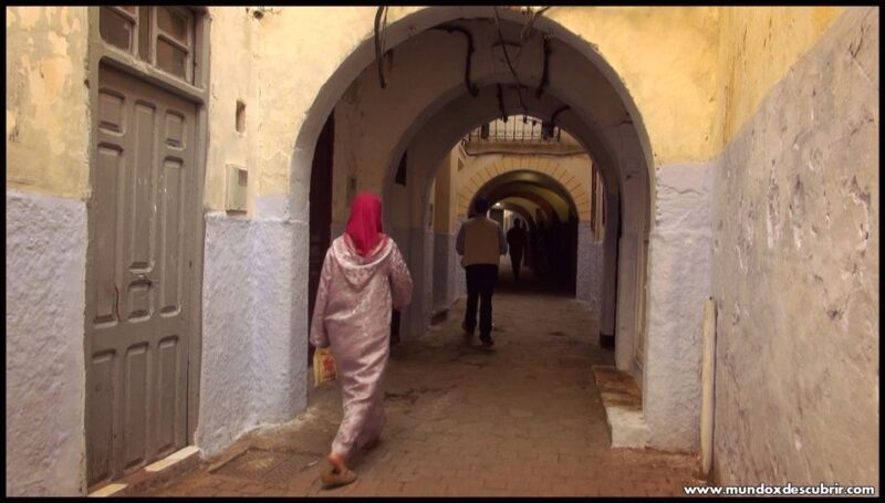 From Seville: Full-Day Tour to Tangier - FAQs