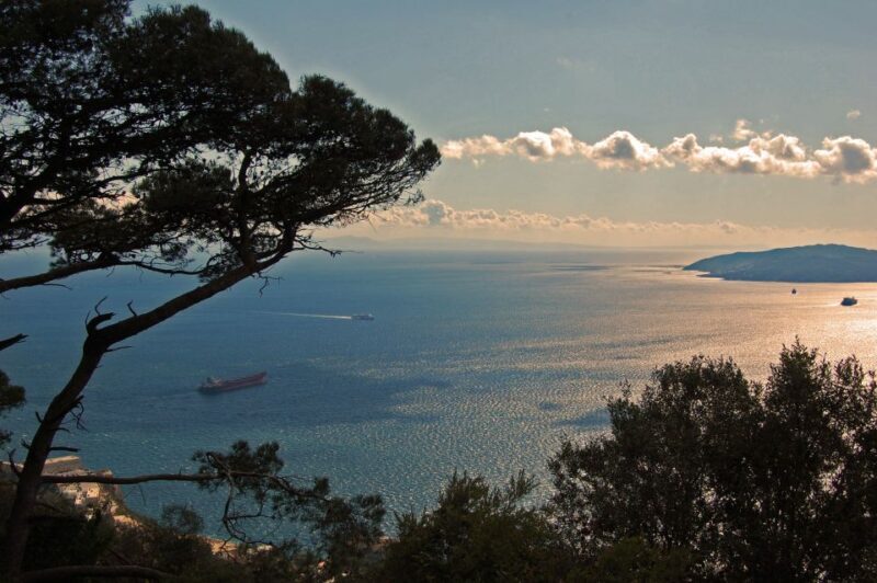 From Seville: Full-Day Trip to Gibraltar - Key Points