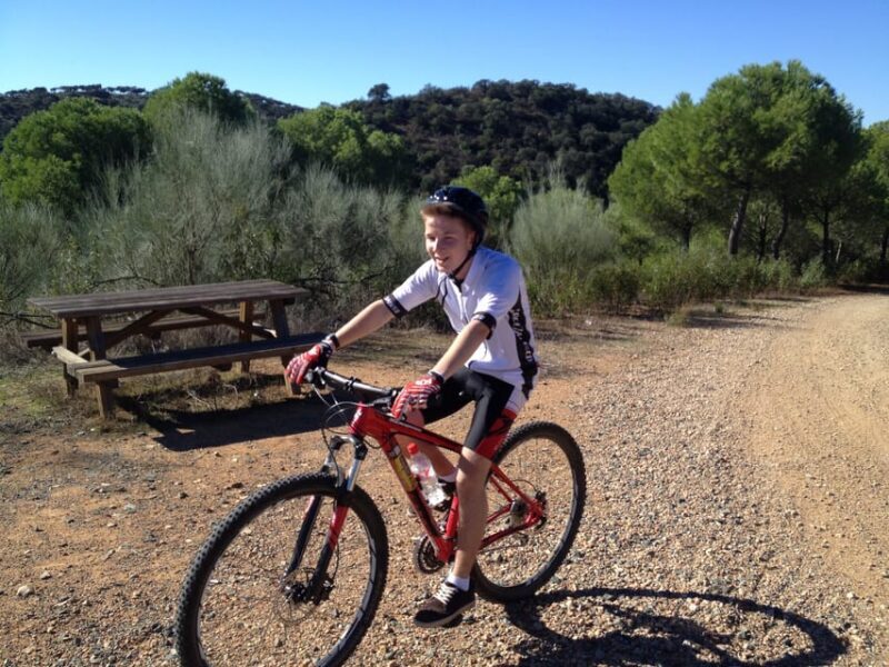 From Seville: Half-Day Guided Bike Trip to Italica - Practical Details and Tips