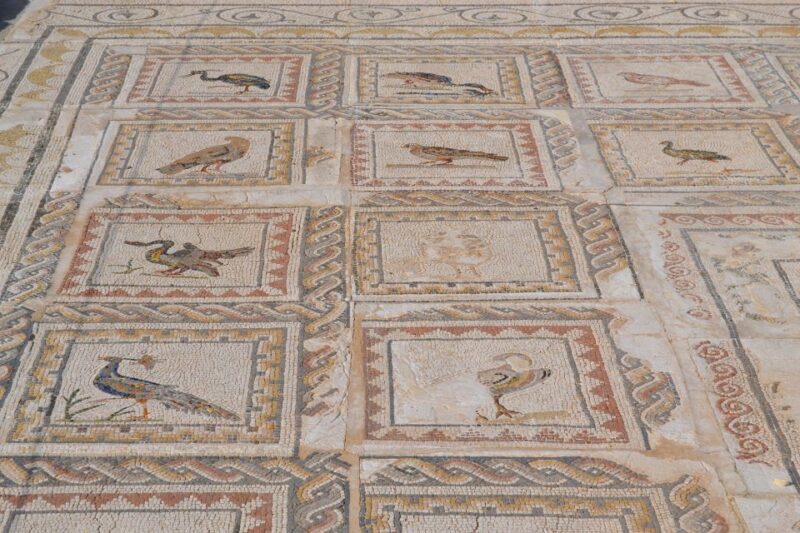 From Seville: Italica Roman City Tour - Who Should Consider This Tour?