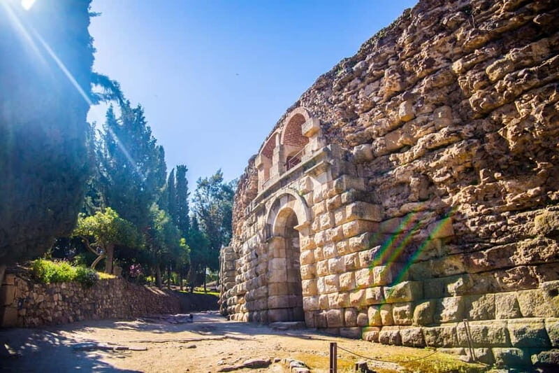 From Seville: Merida Private Full Day Tour - How Do Reviews Reflect the Value?