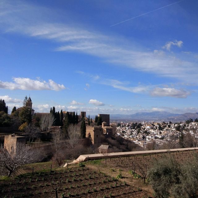 From Seville: Private Day Trip to Ronda and Granada - Frequently Asked Questions