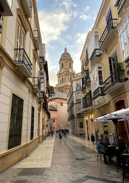 From Seville: Private excursion to Malaga with entrance fees to monuments - Who Is This Tour Best For?