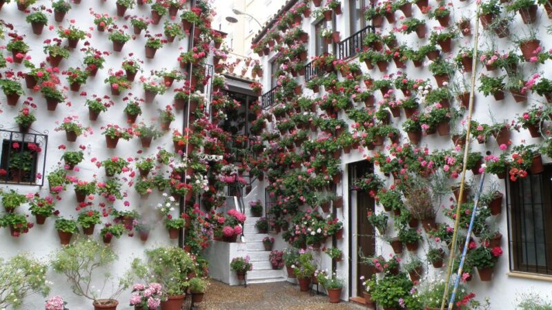 From Seville: Private or Group Full-Day Cordoba Tour - A Detailed Look at the Córdoba Full-Day Tour