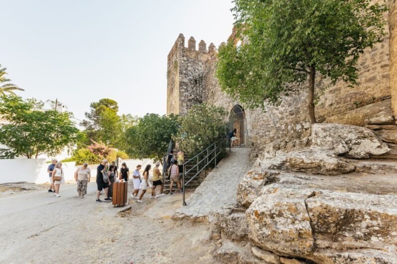 From Seville: Pueblos Blancos and Ronda Full-Day Trip - Who Should Take This Tour?