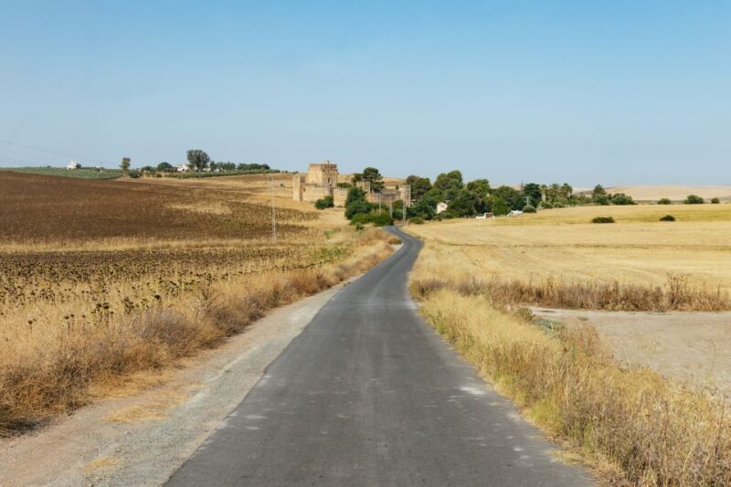 From Seville: Pueblos Blancos and Ronda Full-Day Trip - FAQs
