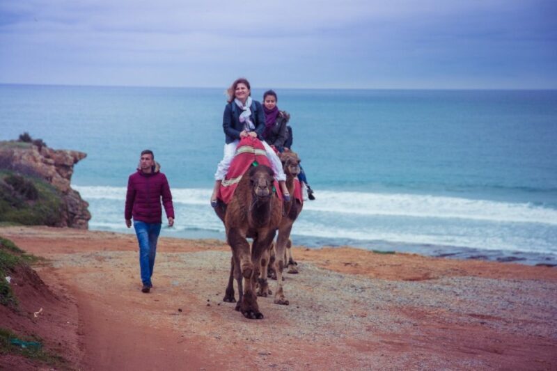 From Seville: Tangier Day Trip with Local Guide and Lunch - Key Points