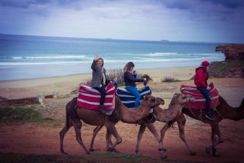 From Seville: Tangier Day Trip with Local Guide and Lunch - A Complete Look at the Tour Experience