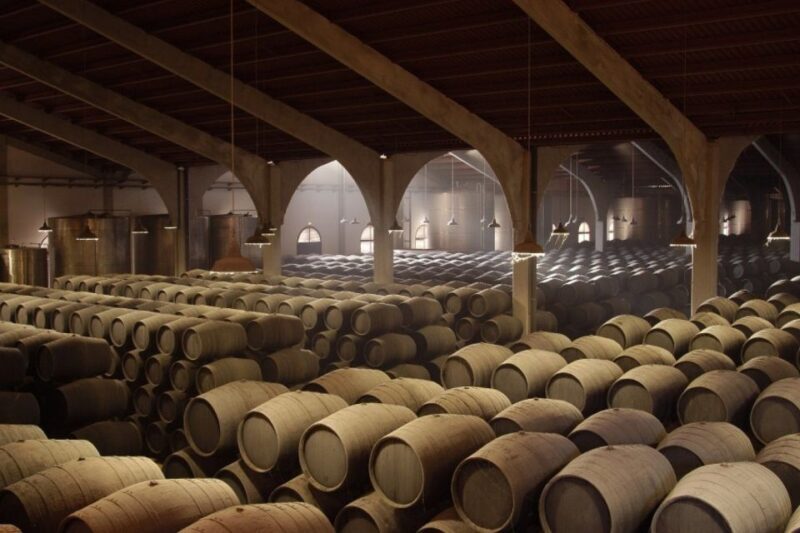From Seville: Tour of Jerez with Horse Show & Wine Tasting - Insight from Reviews