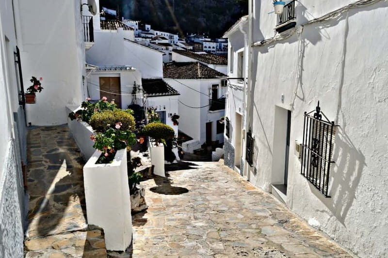 From Seville: White Villages and Ronda private day trip - The Value in Going Private