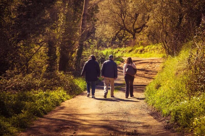 From Seville: White Villages of Huelva Private Full-Day Tour - Why This Tour Shines