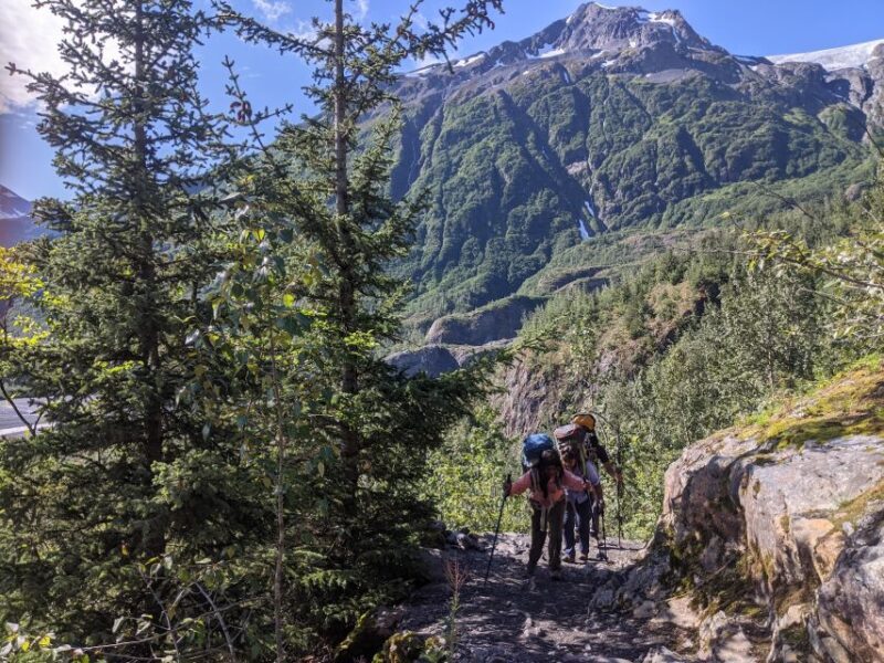 From Seward: 2-hour Wilderness Hiking Tour - Key Points