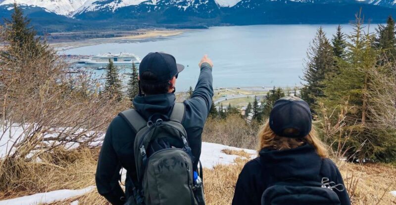 From Seward: 2-hour Wilderness Hiking Tour - The Scenic Highlights: What You’ll See and Experience