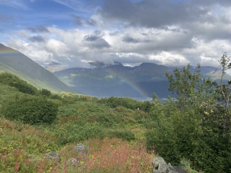 From Seward: 2-hour Wilderness Hiking Tour - Logistics and Practical Details