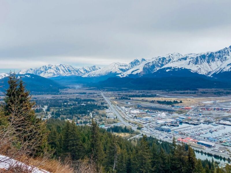 From Seward: 2-hour Wilderness Hiking Tour - What to Bring and Tips for a Smooth Trek