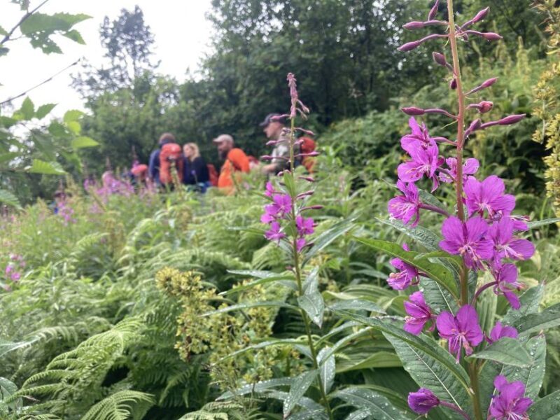 From Seward: 2-hour Wilderness Hiking Tour - Who Will Love This Tour?