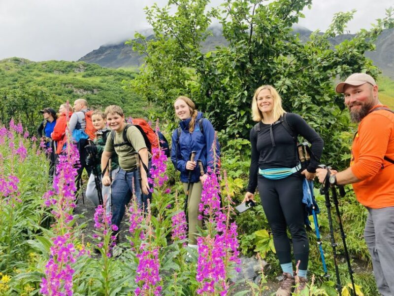 From Seward: 4-hour Wilderness Hiking Tour - Key Points