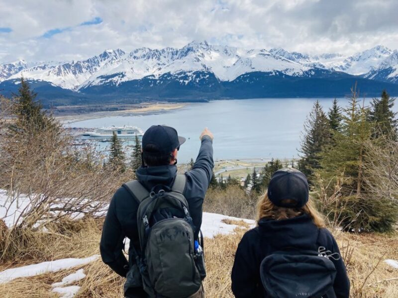 From Seward: 4-hour Wilderness Hiking Tour - Why This Tour Packs Value