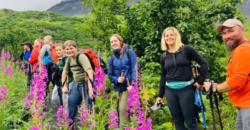 From Seward: 4-hour Wilderness Hiking Tour - Who Will Enjoy This Tour?