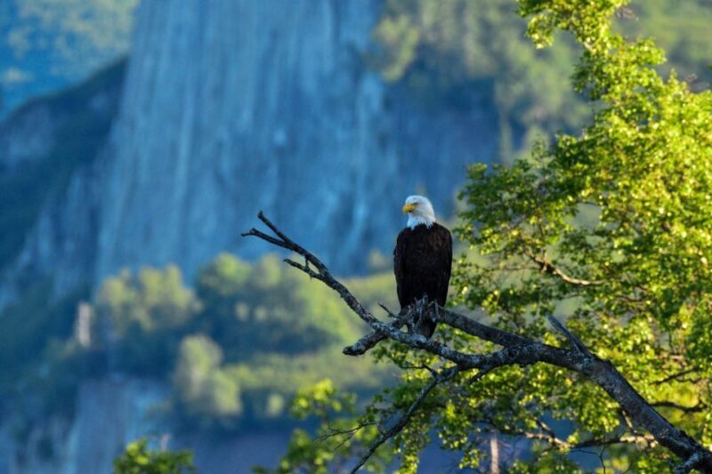 From Seward: 6-hour Wilderness Hiking Tour - Why This Tour Offers Real Value