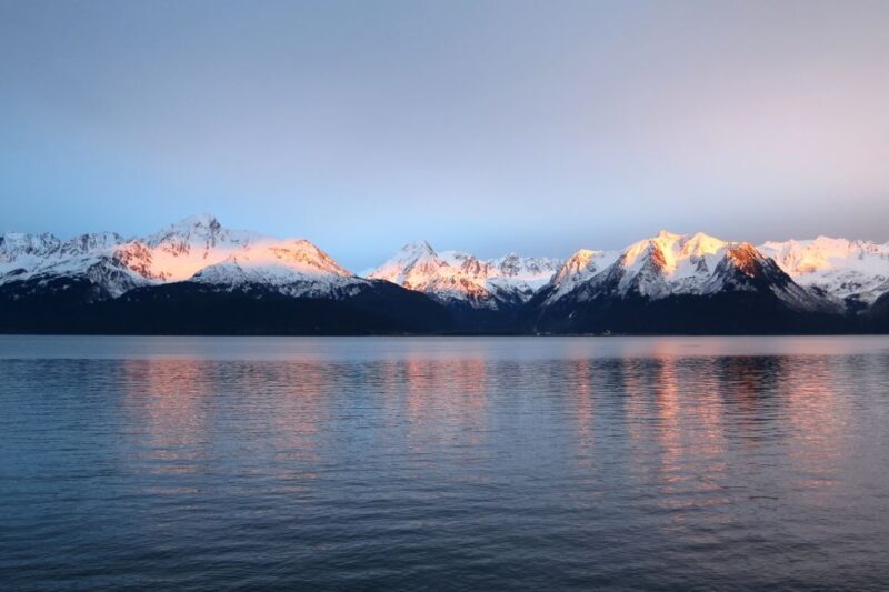 From Seward: Half-Day Resurrection Bay Wildlife Cruise Tour - An In-Depth Look at the Resurrection Bay Wildlife Cruise