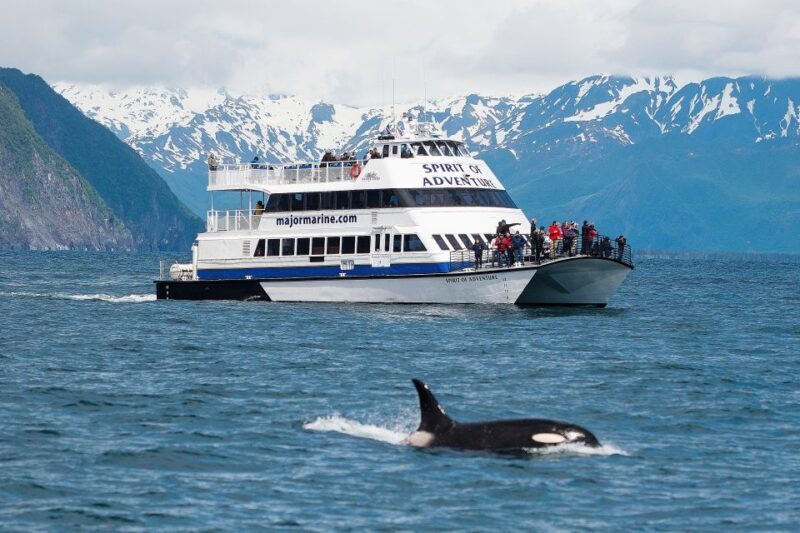 From Seward: Kenai Fjords National Park Cruise with Lunch - An In-Depth Look at the Kenai Fjords Cruise