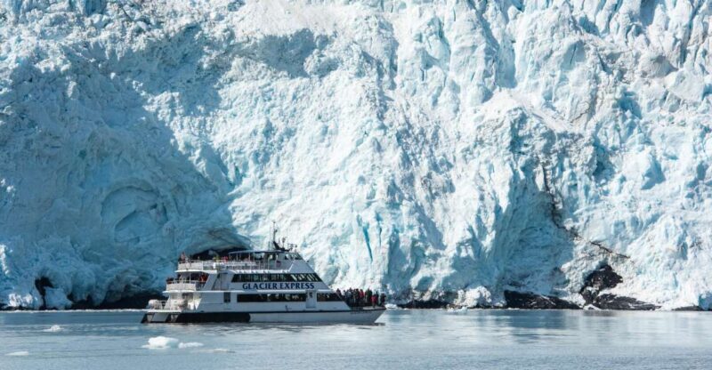 From Seward: Kenai Fjords National Park Cruise with Lunch - The Sum Up